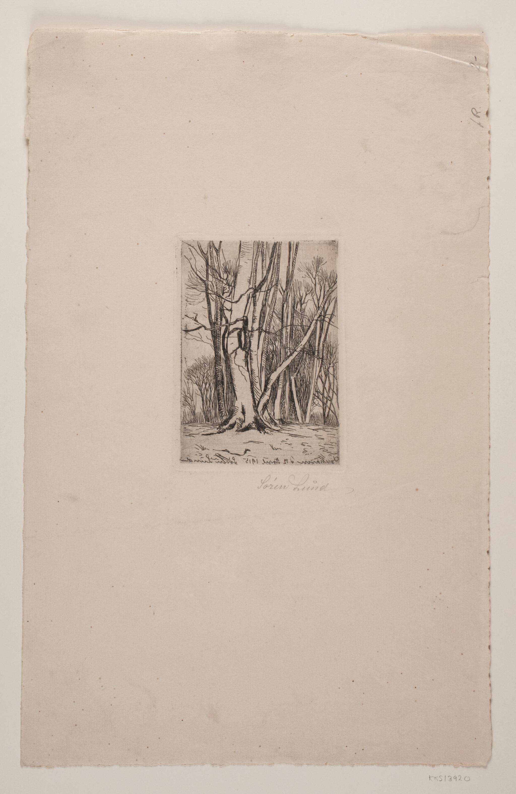 Dyrehaven, 1915, Søren Lund | SMK Open