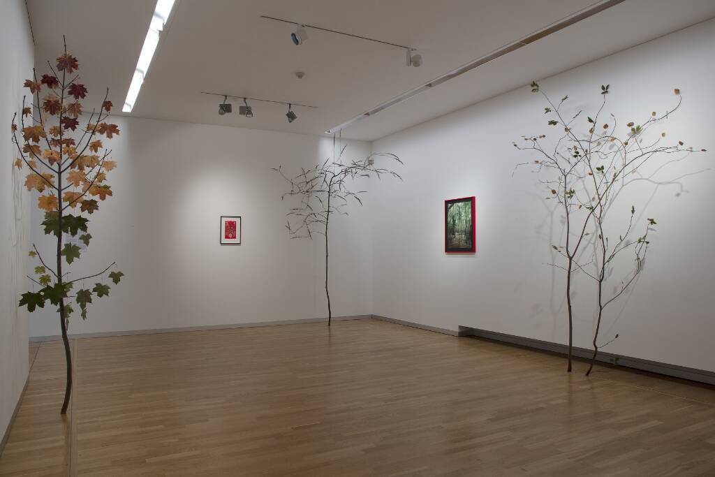 Re-member Me - Installation af Rasmus Myrup | SMK Connect