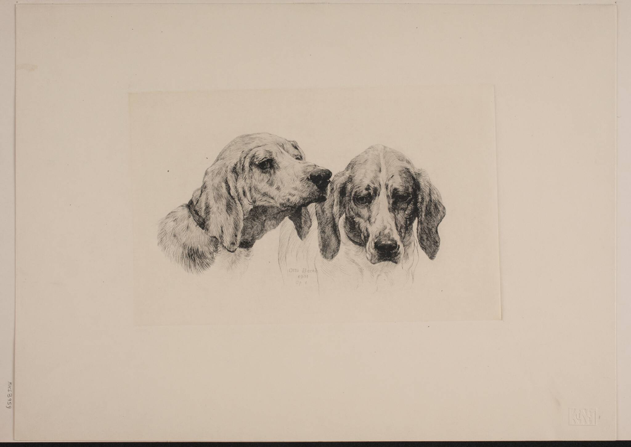 To hundehoveder, 1901, Otto Bache, Alfred Jacobsens Forlag | SMK Open